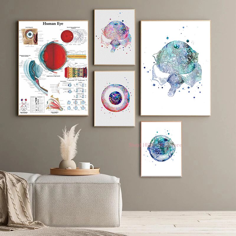 Eye Anatomy Medical Ophthalmology Medicine Canvas Painting Poster and ...