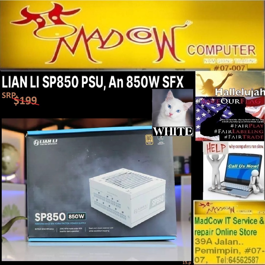 LIAN LI SP850 / SP850 Performance 850W SFX Form Factor 80+ Gold Full Modular-White-(5Y ...