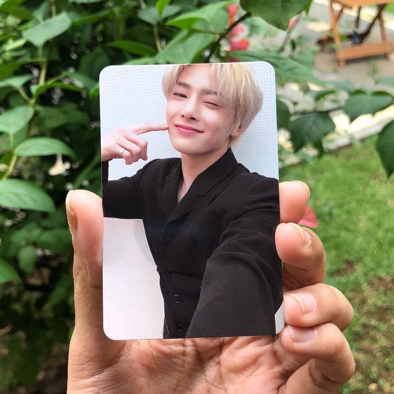 I.n Green Project Photocard Stray Kids Green Project SKZ Straykids PC ...