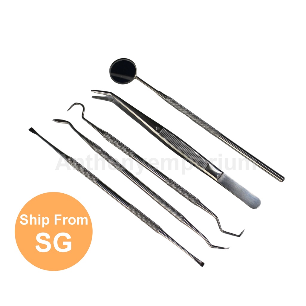 5pcs Personal Dental Tool Kit Teeth Tartar Scraper Mouth Mirror, Pick ...