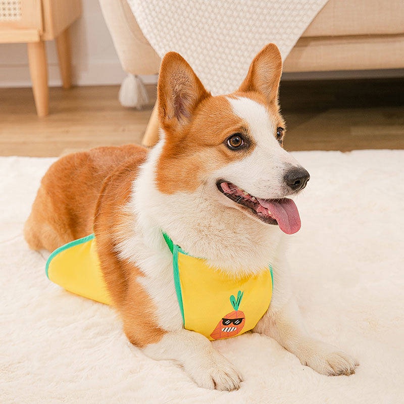 Corgi Special Apron Waterproof Anti-Dirty Dog Summer Belly Protection ...