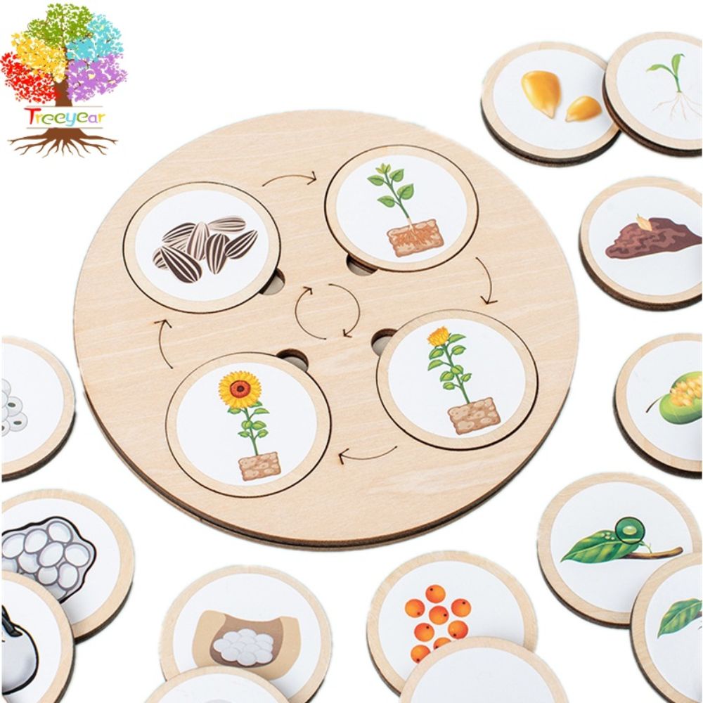 Tree year Montessori Life Cycle Puzzle Board Kit, Life Cycle Puzzle Kit ...
