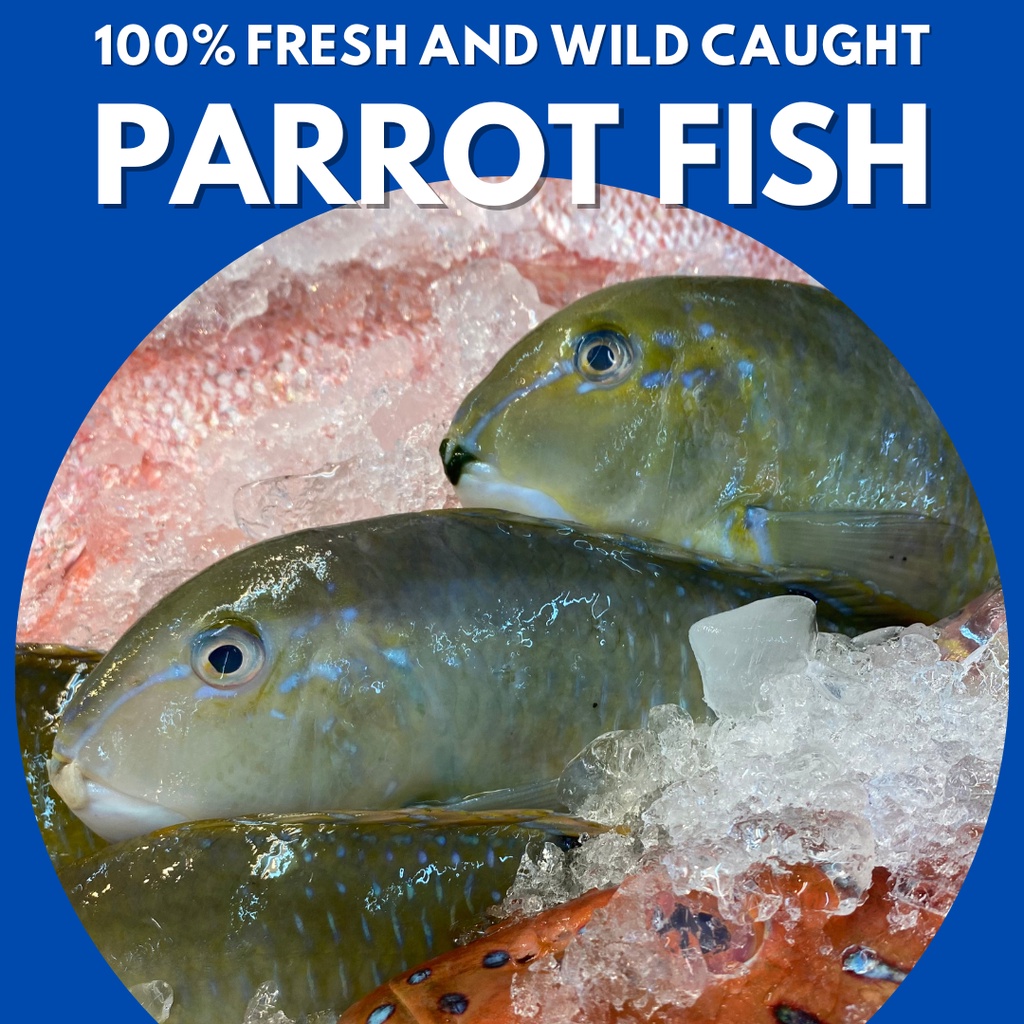 [Cheng Xin Seafood] Wild Caught Parrot Fish 鹦哥鱼 | Shopee Singapore