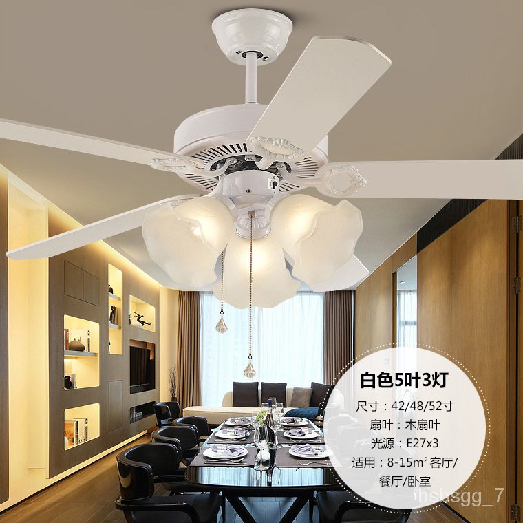 Living Room Ceiling Fan With Lights | Cabinets Matttroy