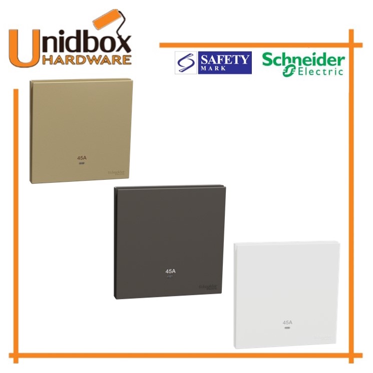 Schneider Electric AvatarOn C: 45A 250V 1 gang double pole switch with ...