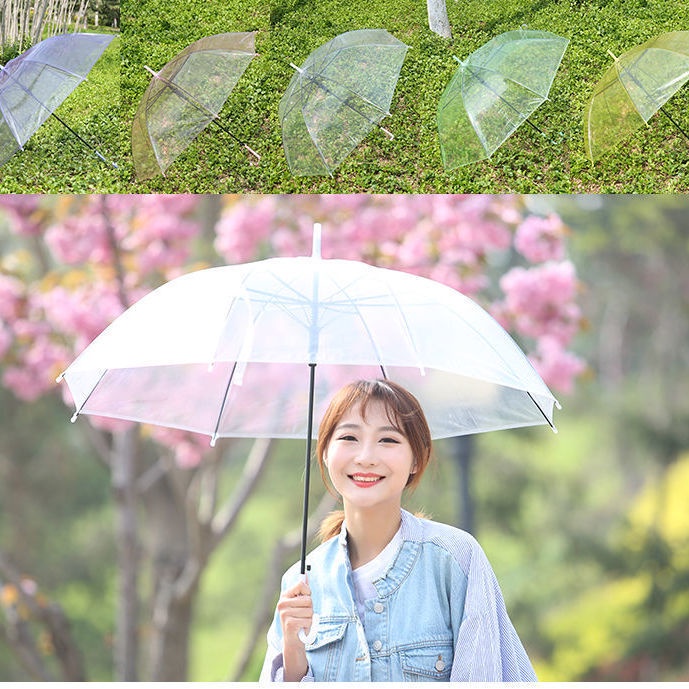 Transparent Korean Japanese Umbrella/Clear Plastic Umbrella/RAINBOW ...