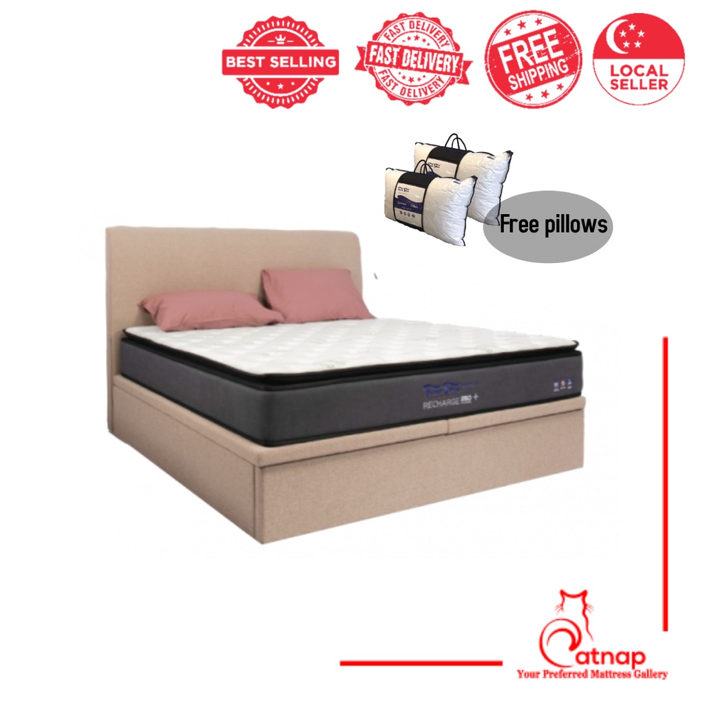 Four Star Recharge PRO Mattress Individual Pocketed Spring with Divan ...