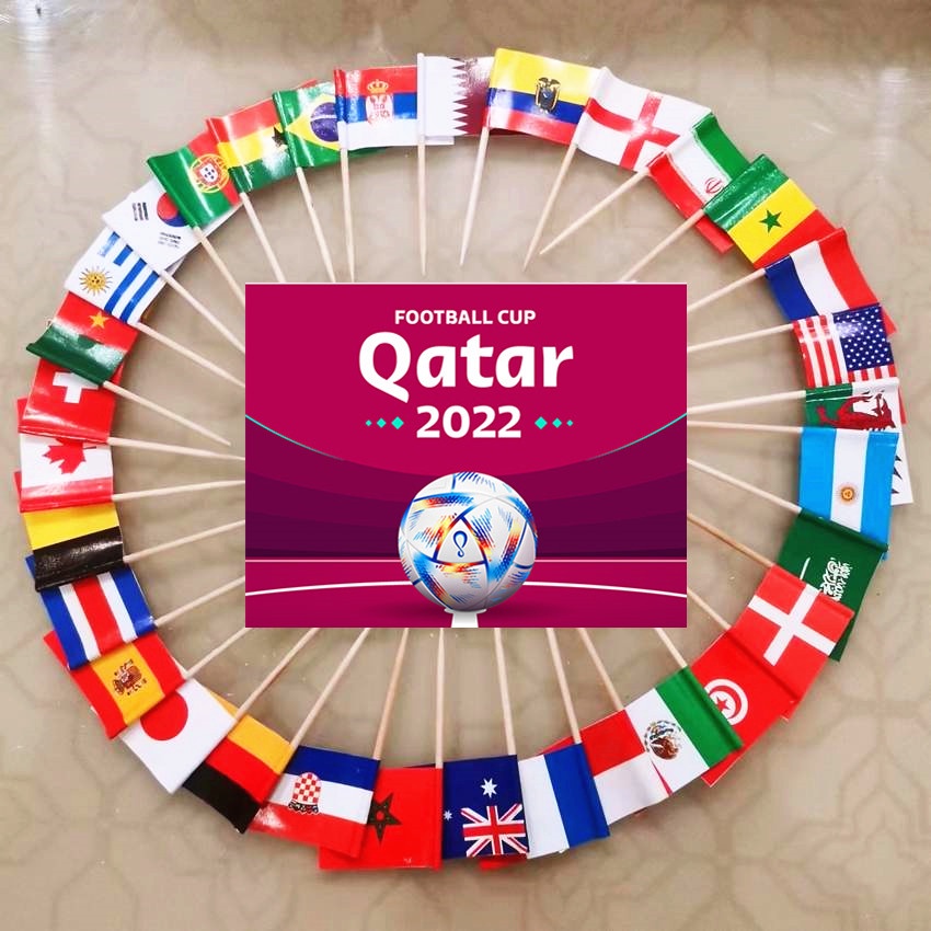 Assorted Different Countries Toothpick Flag FIFA World Cup Qatar 2022 ...