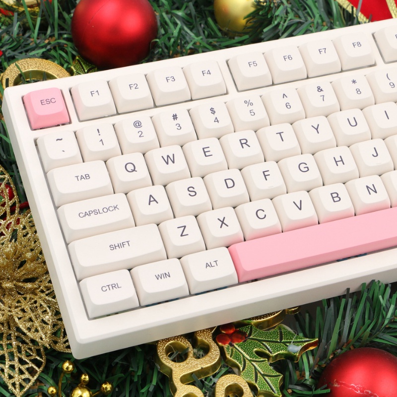 BEE 137 XDA Keycaps PBT Dye-sublimated Keycap XDAprofile For Filco/DUCK ...