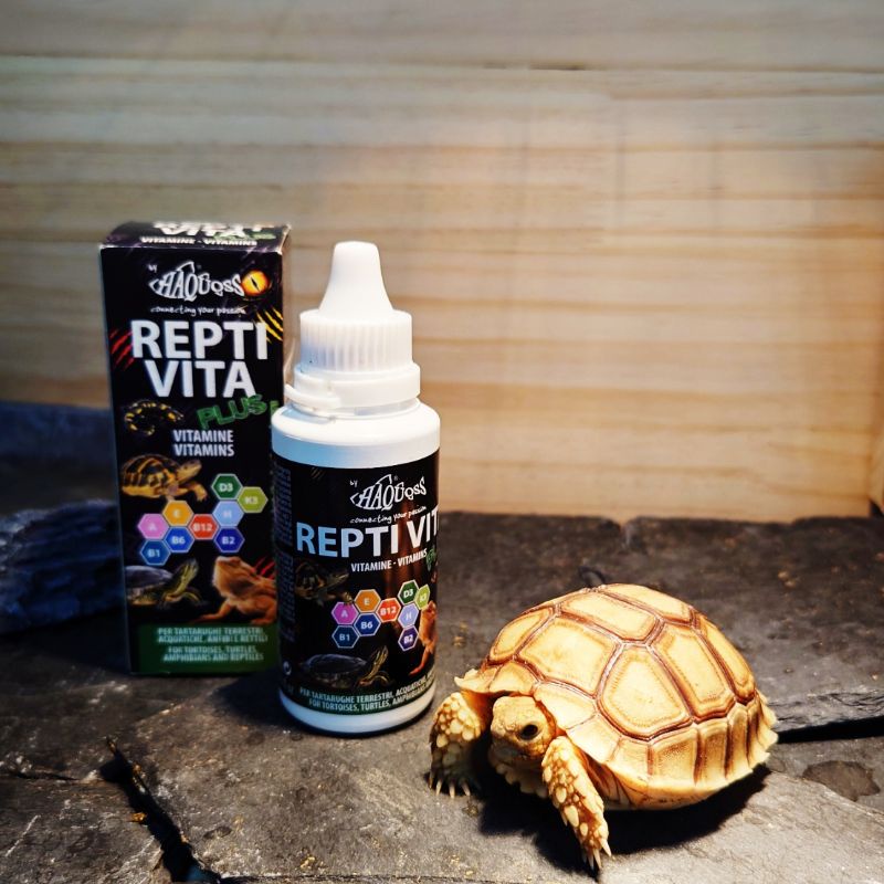 [Rainbow Knight] Italian Sea Cool Reptile Turtle Multivitamin (55ml ...