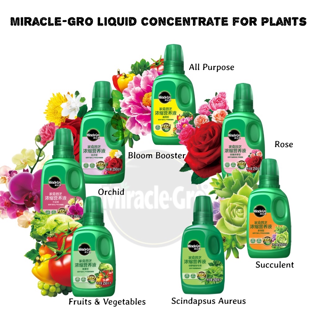 FERTILIZER. Miracle-Gro美乐棵 Concentrated Liquid Fertilizer for Plant ...