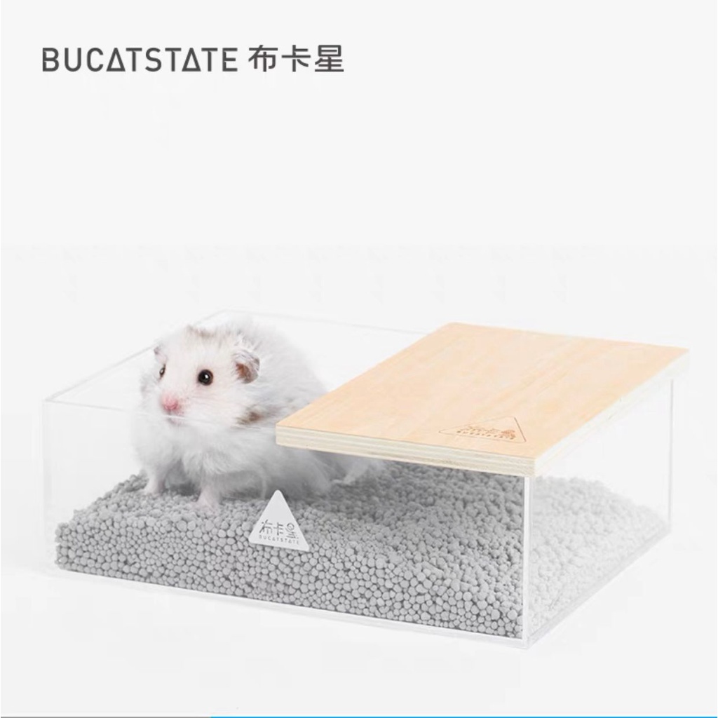SG Ready Stock Bucatstate Hamster Arcylic Sand Bath box for syrian ...