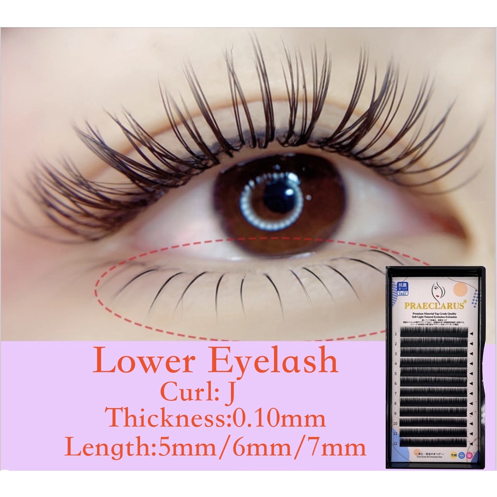 PRAECLARUS Lower Eyelash Extension Thickness0.10mm Premium Materials ...