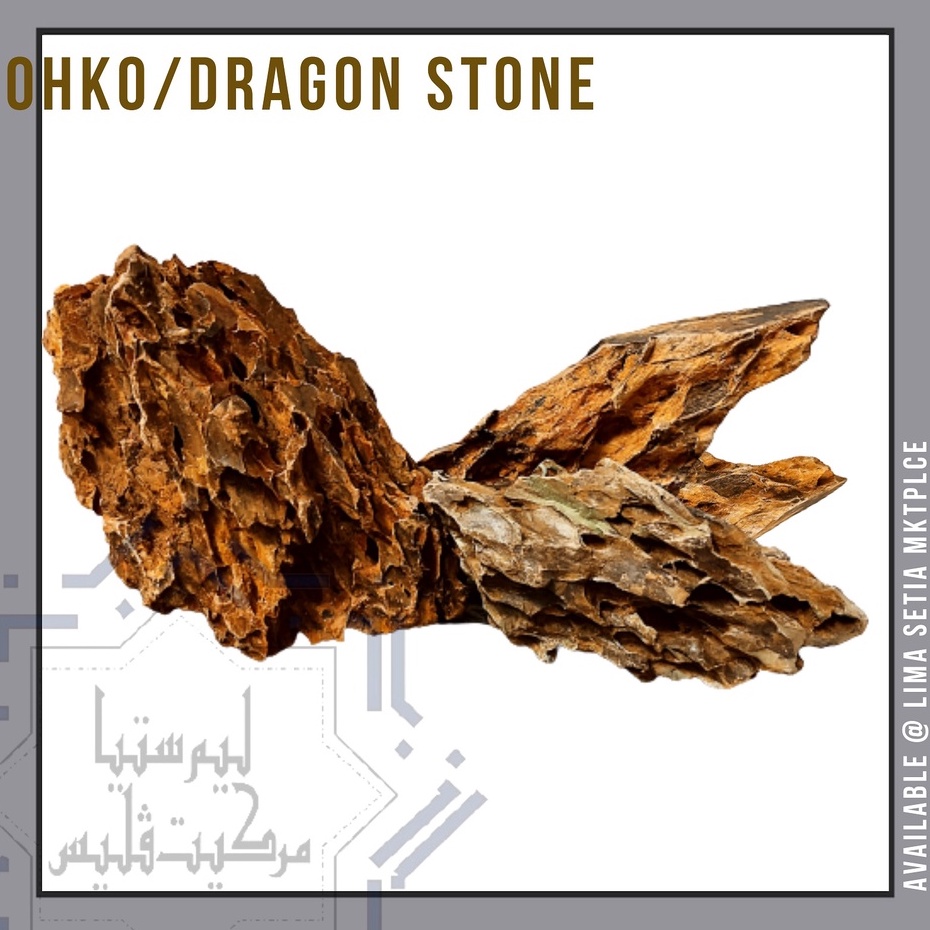 Dragon Stone Ohko Stone Pine Landscaping Stone For Aquarium Terrarium ...