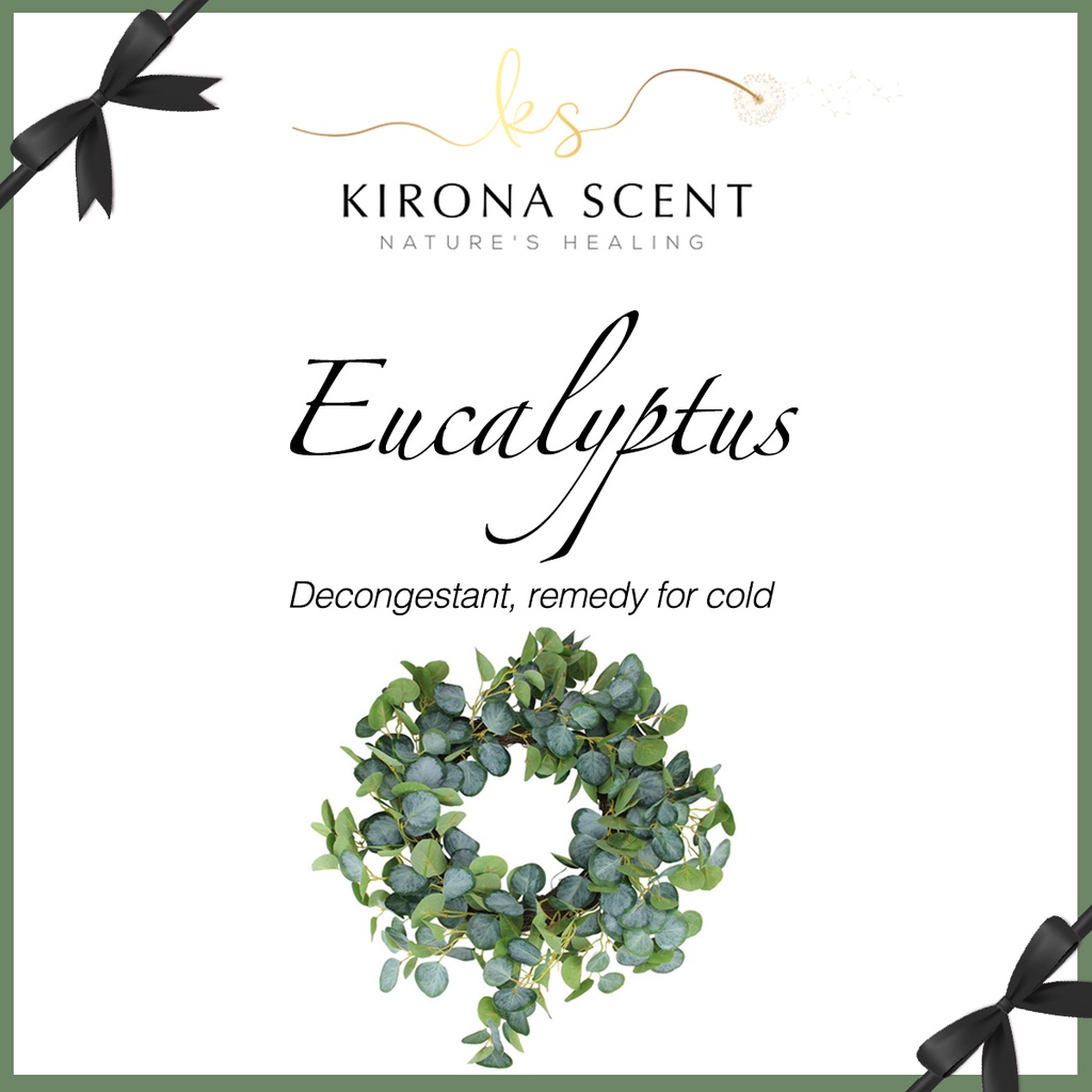 [Christmas Bundle Deals] 2x 110ml Kirona Scent Reed Diffuser ...