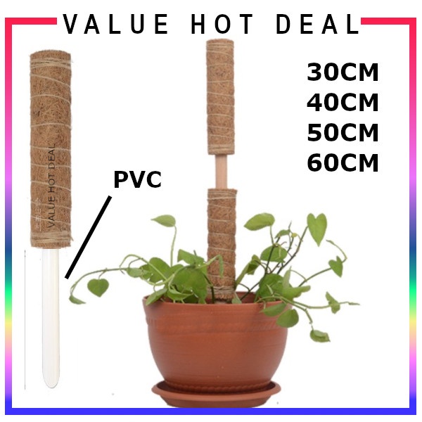 COCO SUPPORT POLE FOR CLIMBING PLANT EXTENSION 30CM TO 120CM | Shopee Singapore