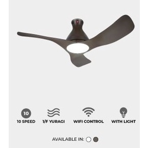 * Installation Available* KDK 48" Airy E48GP DC Ceiling Fan with ...