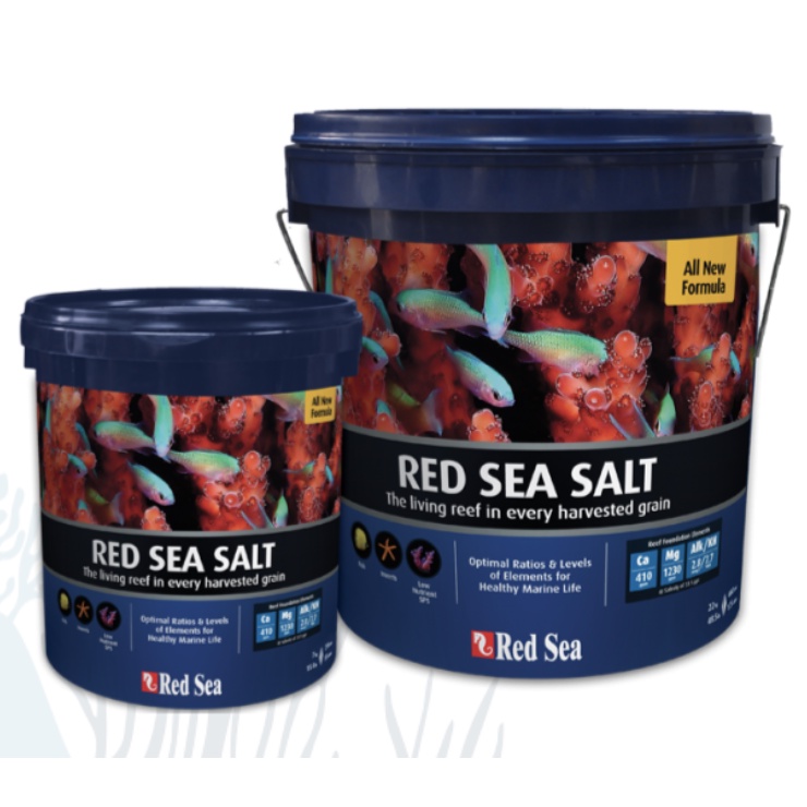 RED SEA Salt | Shopee Singapore