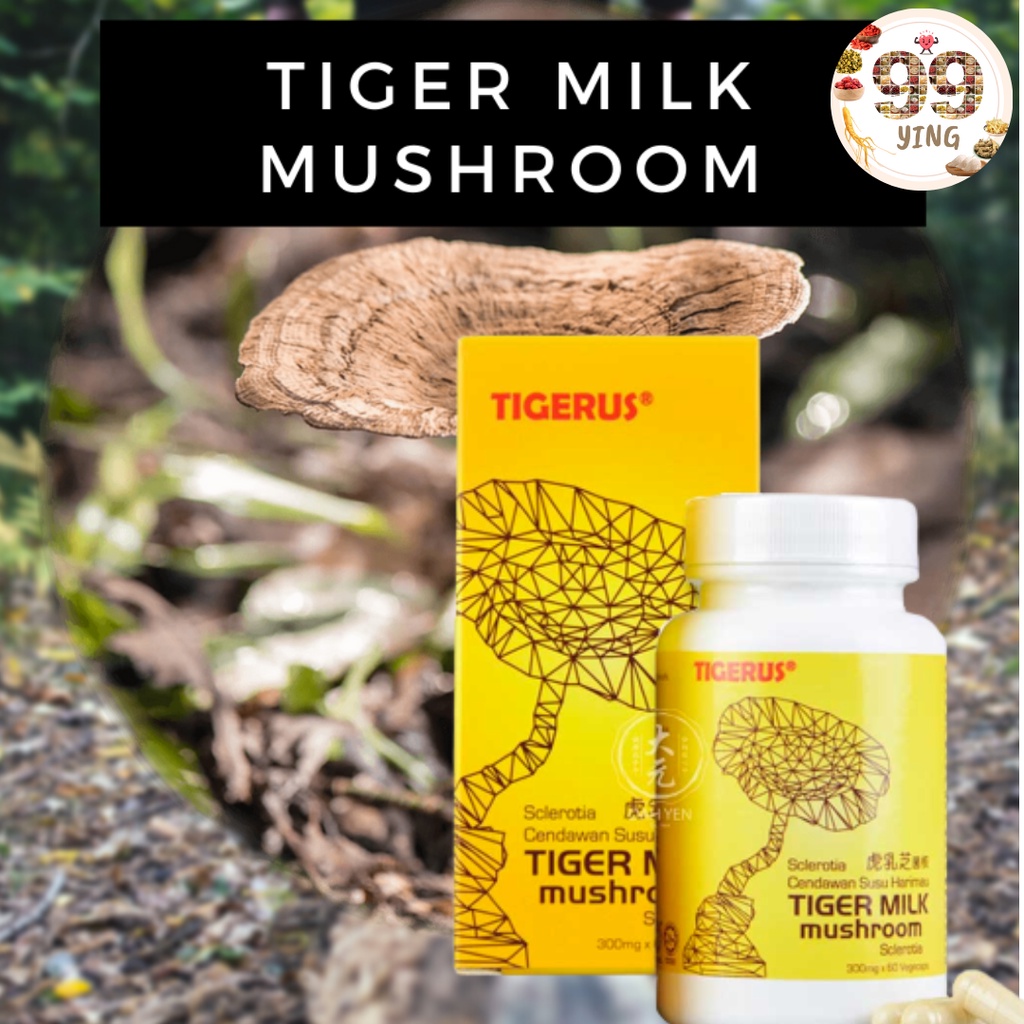 Tigerus Tiger Milk Mushroom • 虎乳芝 • Sclerotia • 300mg x 60 Capsules ...