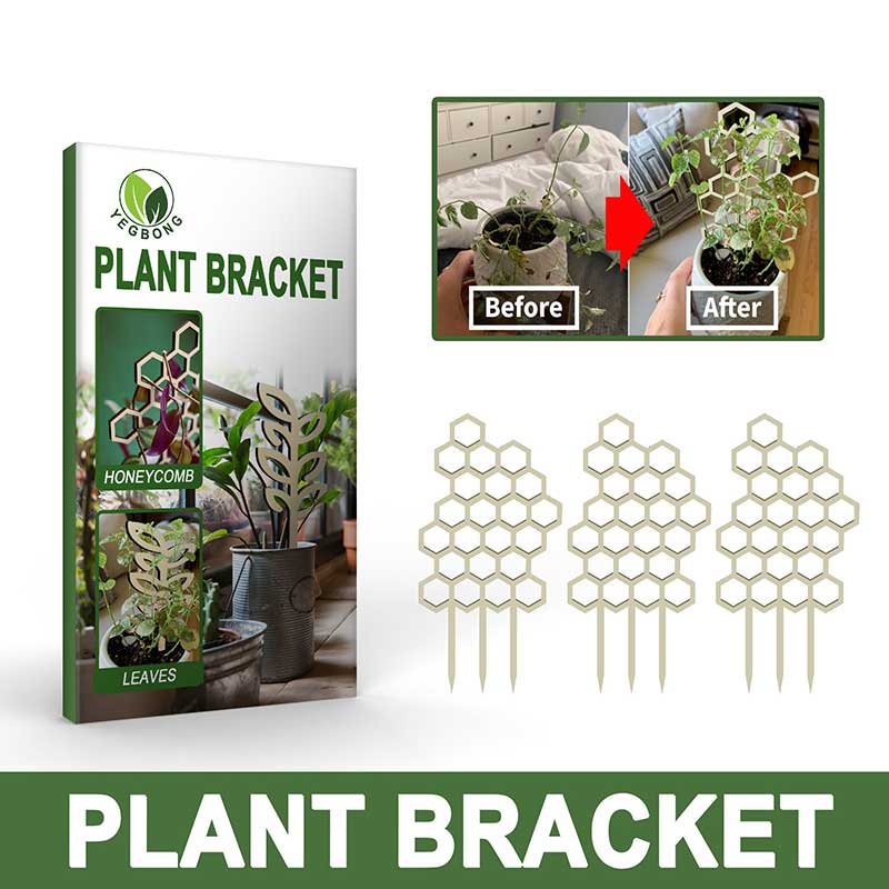 Honeycomb Potted Climbing Vine Frame/ Plant Support Frame/ Plant Guided ...