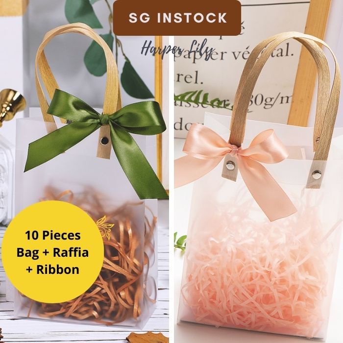[SG INSTOCK] Plastic Gift Bags | For Birthdays, Christmas, Wedding ...