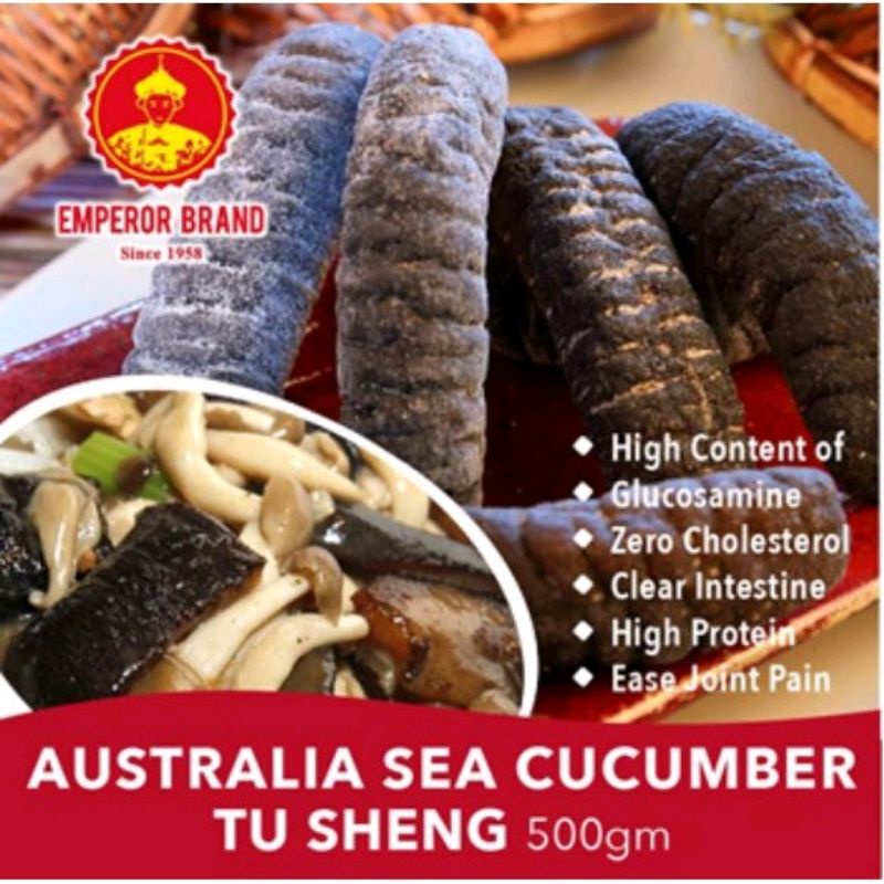 Australia Dried Seacucumbers Tusheng LL / L 500gm and 1kg and Golden ...