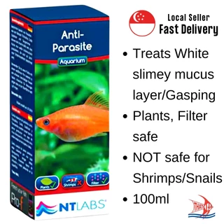 That Aquarium, Online Shop | Shopee Singapore