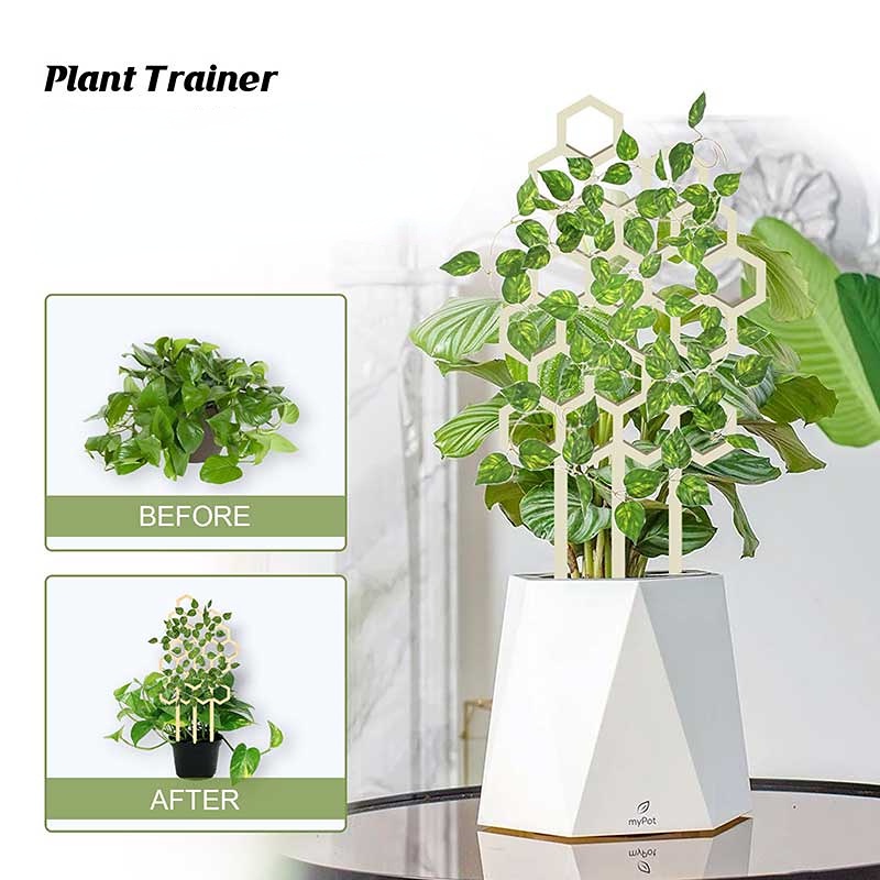Honeycomb Potted Climbing Vine Frame/ Plant Guided Growth Tools/ Plant ...