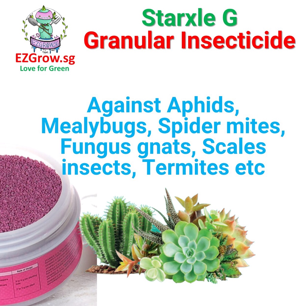 STARXLE G Systemic Insecticide Against Sucking Insects Environmentally ...
