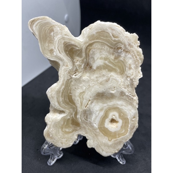 D7763 Natural Thai Dragon Palace Relic Raw Ore Jade White Relics Eye ...