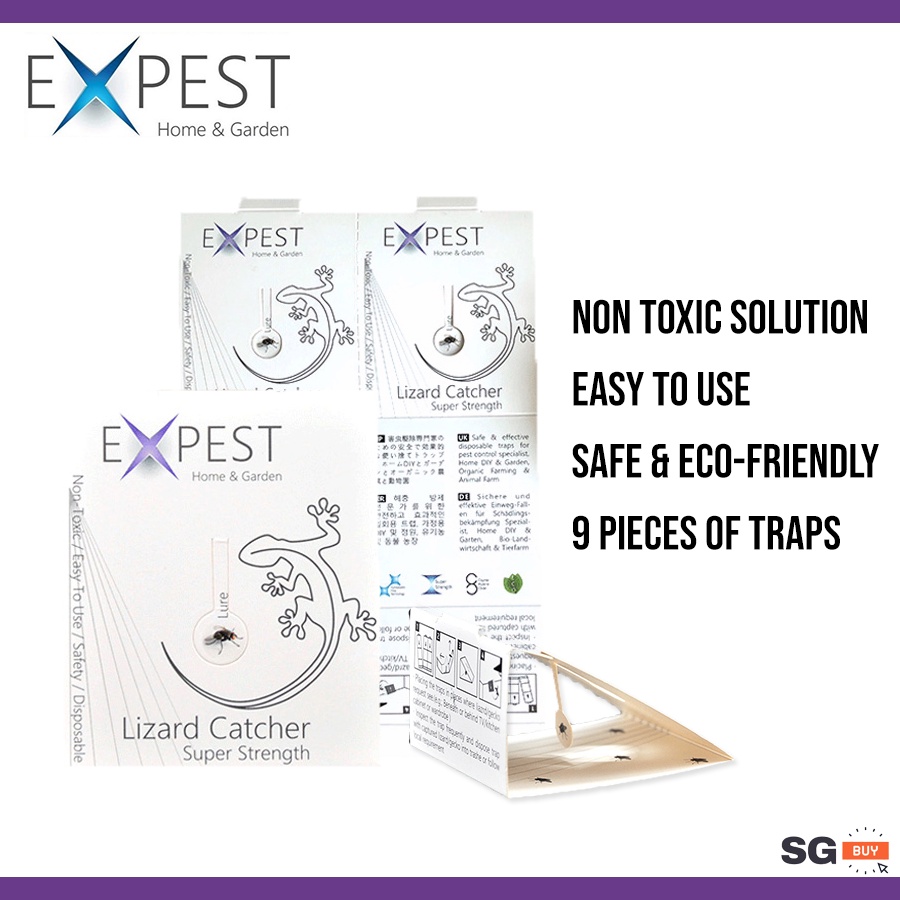 [SG Seller] EXPEST Home Reptile/Lizard Sticky Trap Pest Control Stop ...