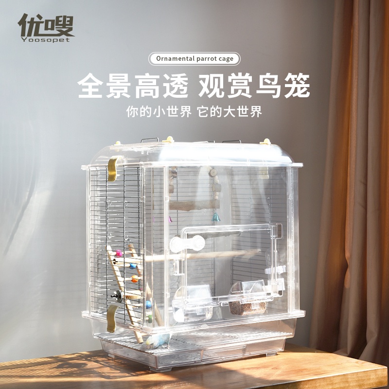 Panoramic View Of Parrot Acrylic Bird Cage Tiger Skin Peony Wenniao ...