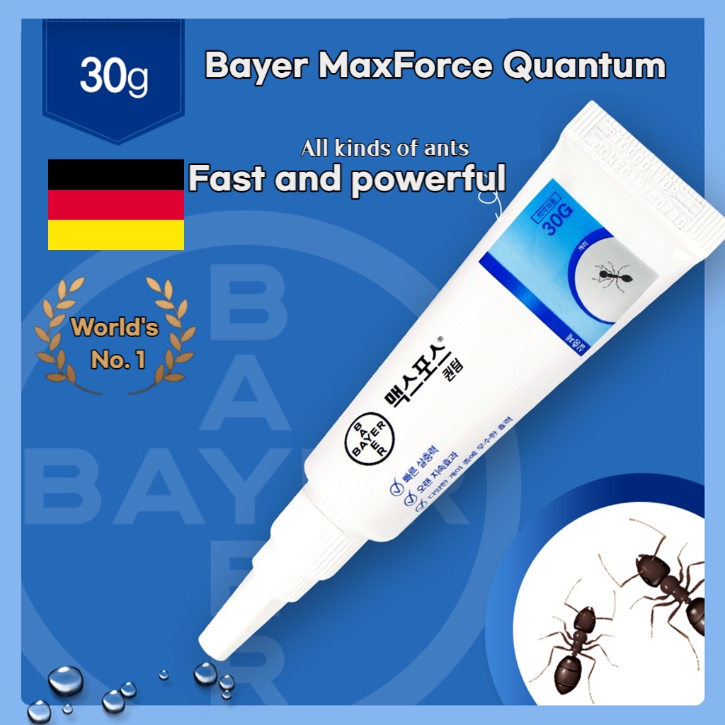 Bayer Maxforce Quantum 30g Get Fast and Long-Lasting Ant Control ...