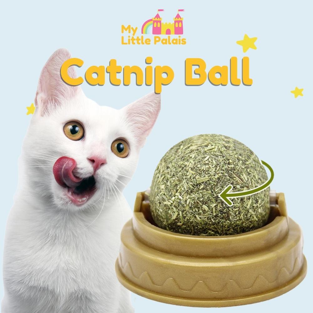 🇸🇬 Catnip Ball / Cat Toy / Interactive Cat Nip Ball | Shopee Singapore