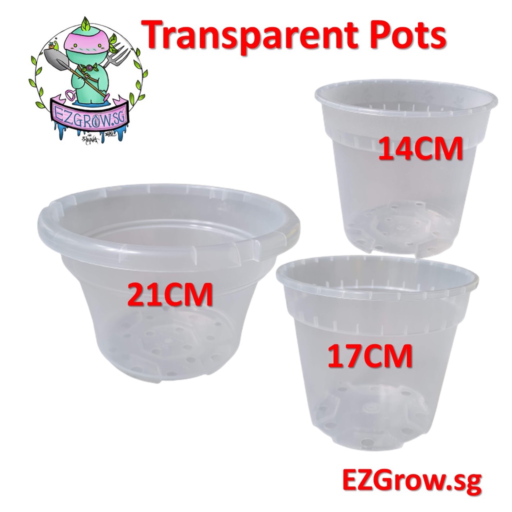 Transparent Pots for Plants | Home Gardening Pots | EZGrow.sg (SG stock ...