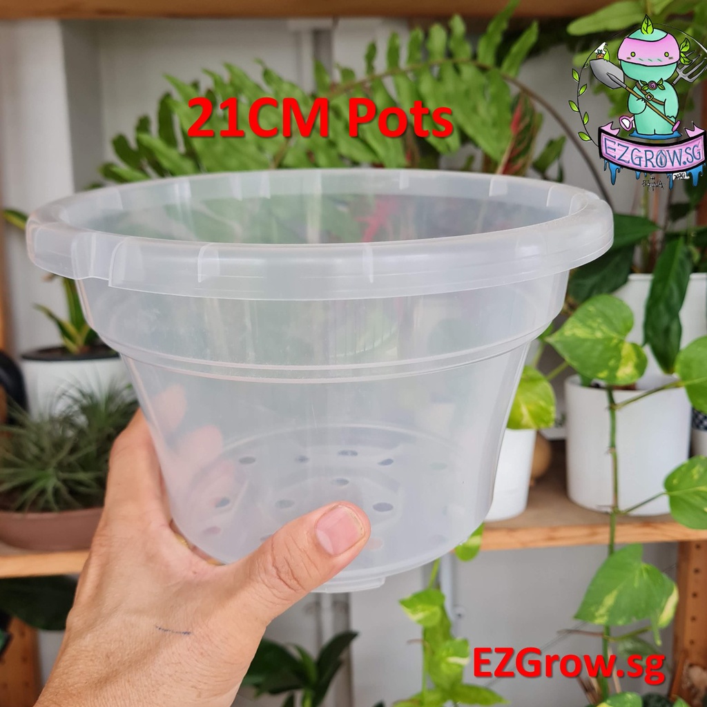 Transparent Pots for Plants | Home Gardening Pots | EZGrow.sg (SG stock ...