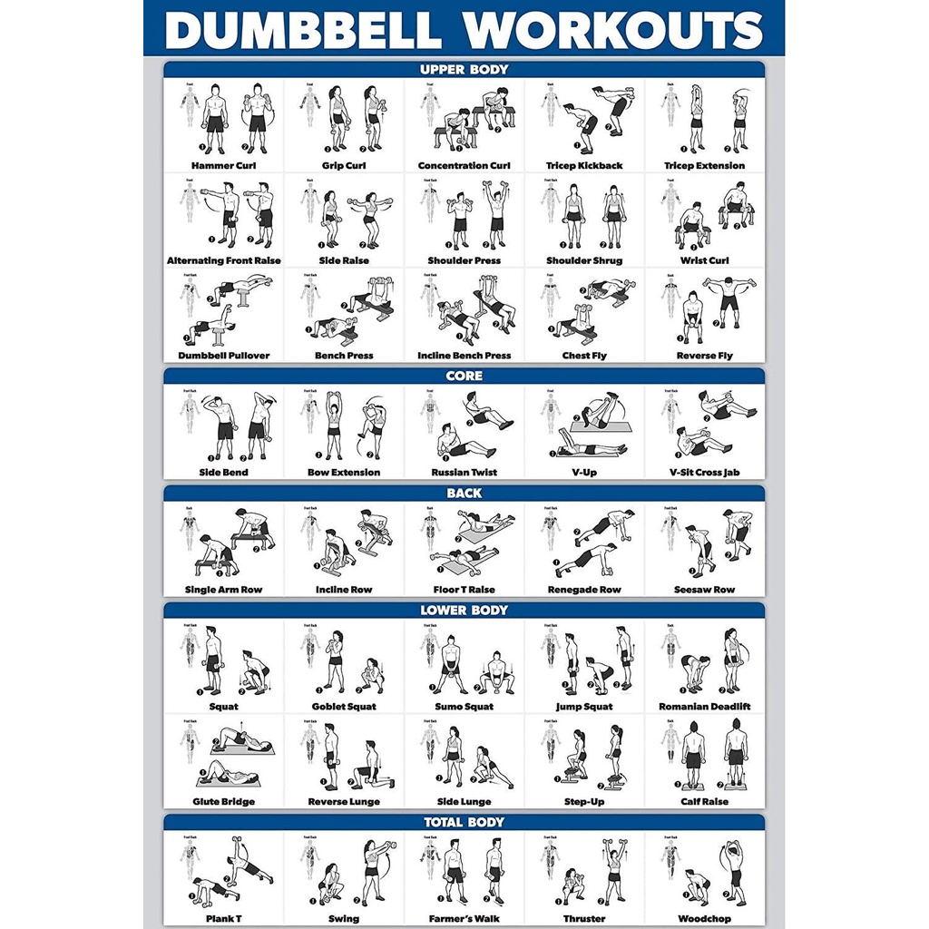 Dumbbell Workout Exercise Poster Laminated Free Weight Body Building ...