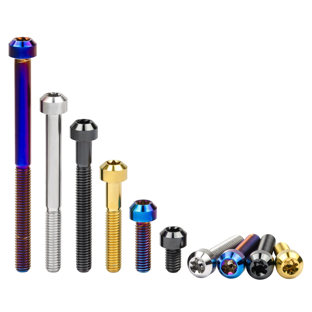 Wanyifa Titanium Bolt M6 T30 Inner Torx Bolt for Variable Speed Engine ...