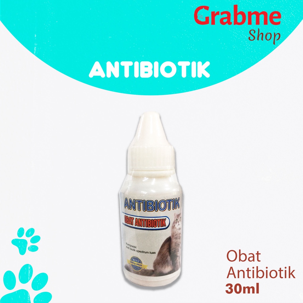 Antibiotic Medicine For Cat Fever, Inflammation, Gold, No Appetite, Etc ...