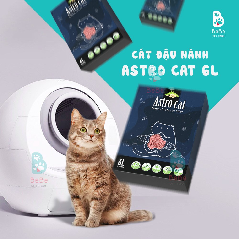 ASTRO CAT Soybean Litter - Suitable for All Types of Boss's Cleaning ...