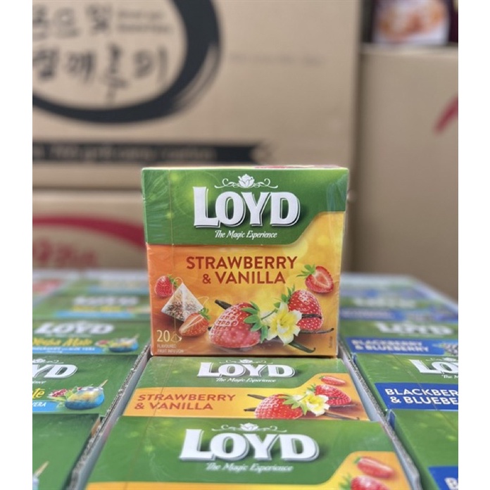 Loyd The Magic Experience fruit tea bags box of 20 packs | Shopee Singapore