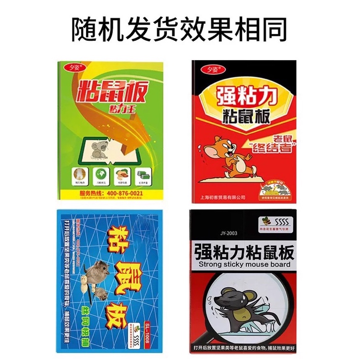 Lizard and Mouse Trap Proven Very Effective (See users review) | Shopee ...