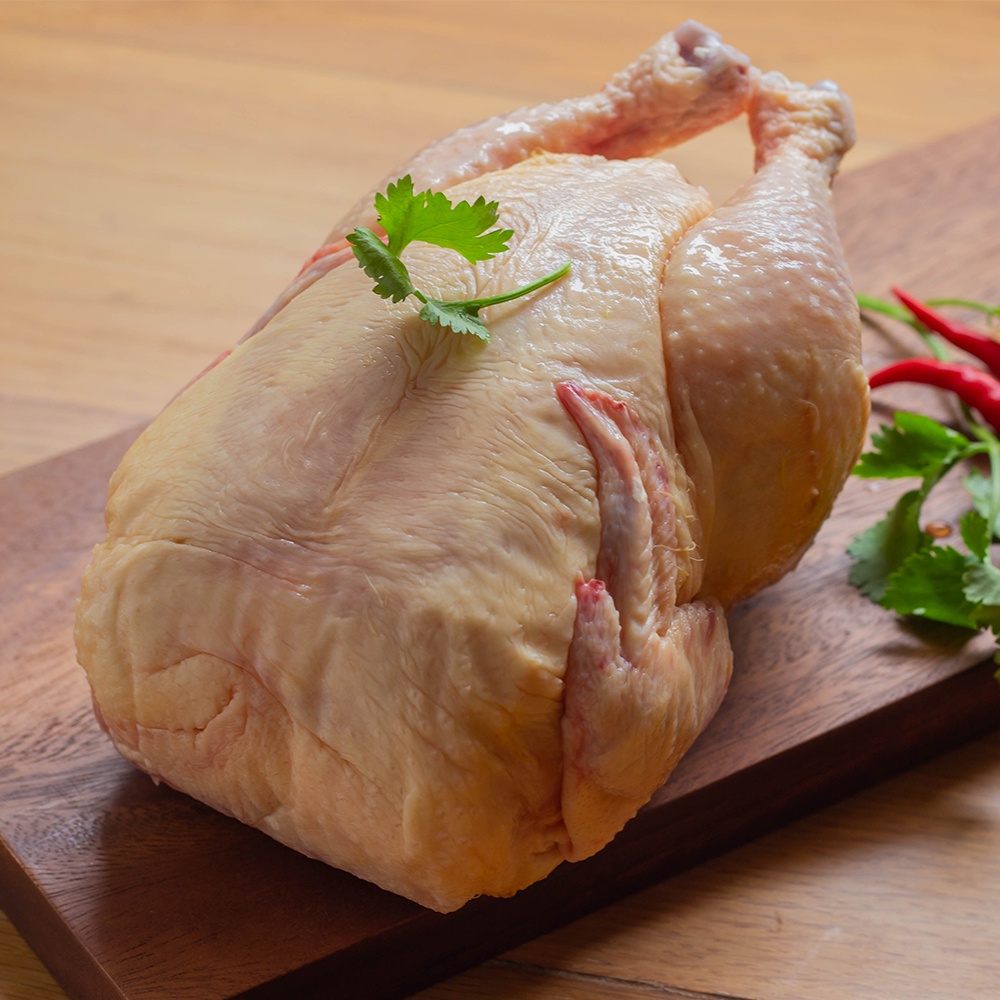 [Leader Food] Brazil Family Size BBQ Chicken Griller (巴西迷你BBQ童子鸡 ...