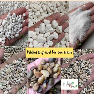 Small pack Terrarium pebble 3-15mm gravel stone garden decoration ...