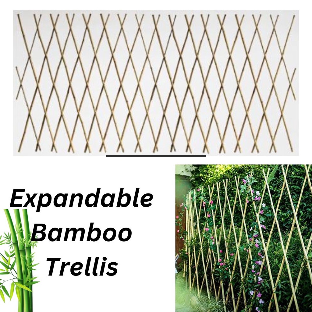 Pole bamboo Trellis expandable, gardening, garden, plants Aacc200 ...