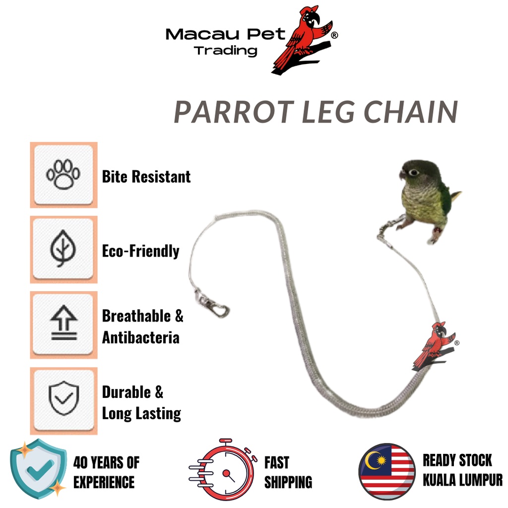 MPT Rantai kaki burung cockatiel chain rope parrot rantai kaki burung ...