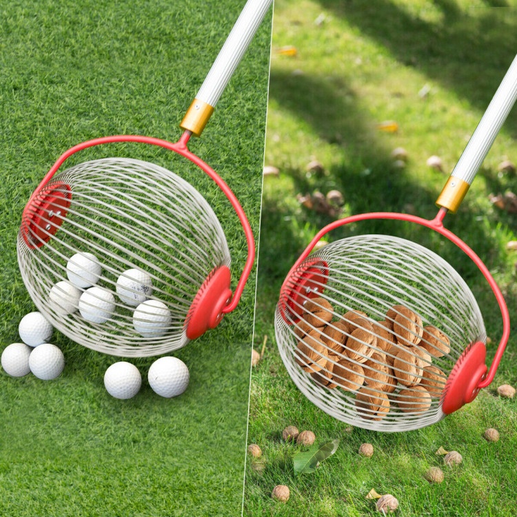 Nut Gatherer Fruit Collector Garden Harvester Fruit Picker Nut ...