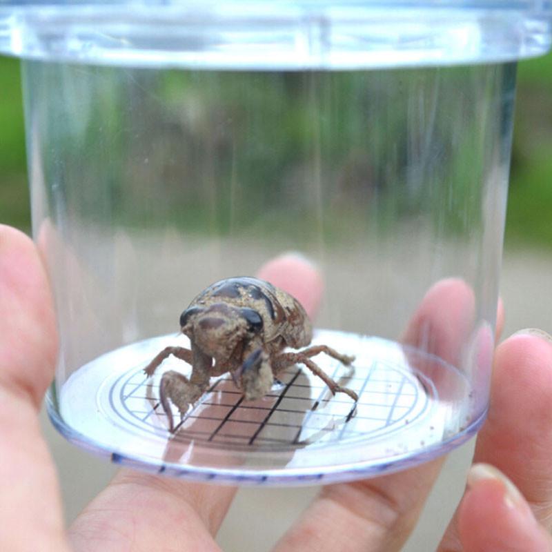 Select Magnifying Bug Viewer Box Insect Microscope Magnifying Loupe for ...