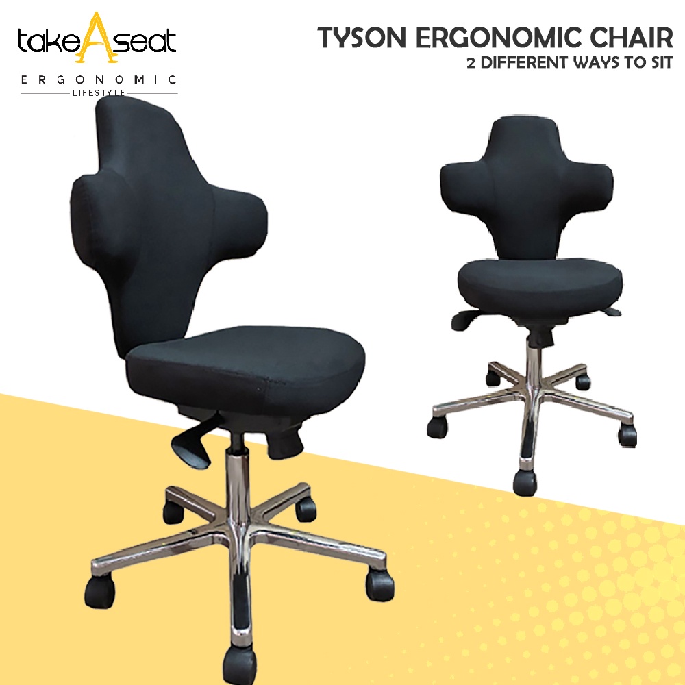 Tyson Ergonomic Office Chair ★ Ergonomic Chair ★ Improve Posture ★ Easy ...