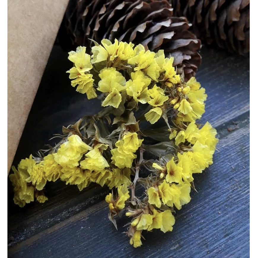 Preserved pressed dried flower, baby breath, bunny tail, wheat, Resin ...